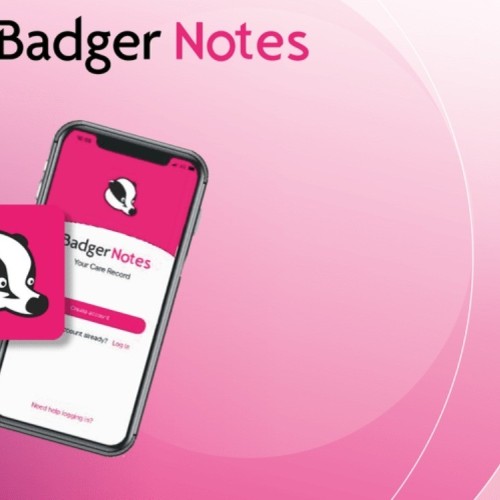 BadgerNet transforms maternity care at West Hertfordshire Teaching ...